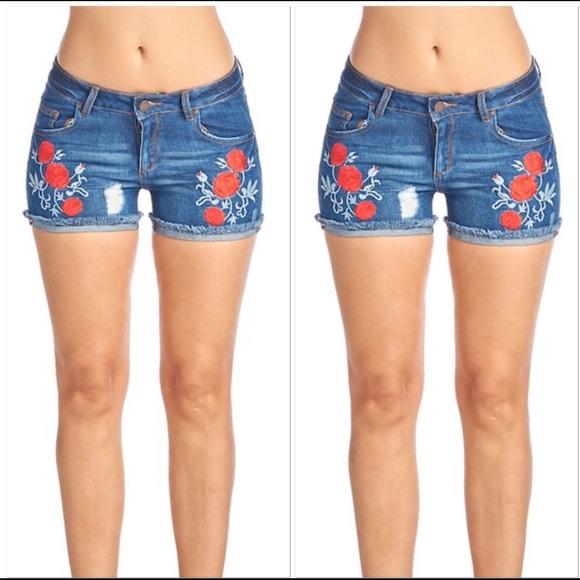 Shorts | Light Blue Denim Embroidered Shorts | Poshmark